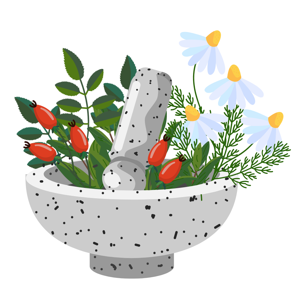 Buy Bulk Organic Herbs Wholesale from High Quality Organics
