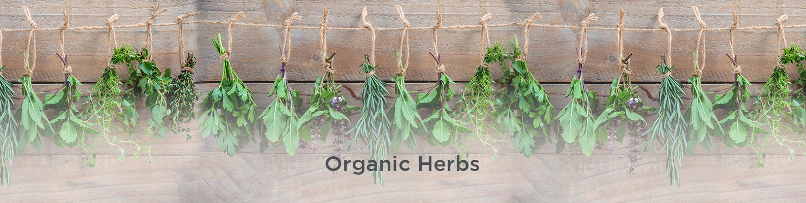 Buy Bulk Organic Herbs Wholesale from High Quality Organics#N##N#– High ...